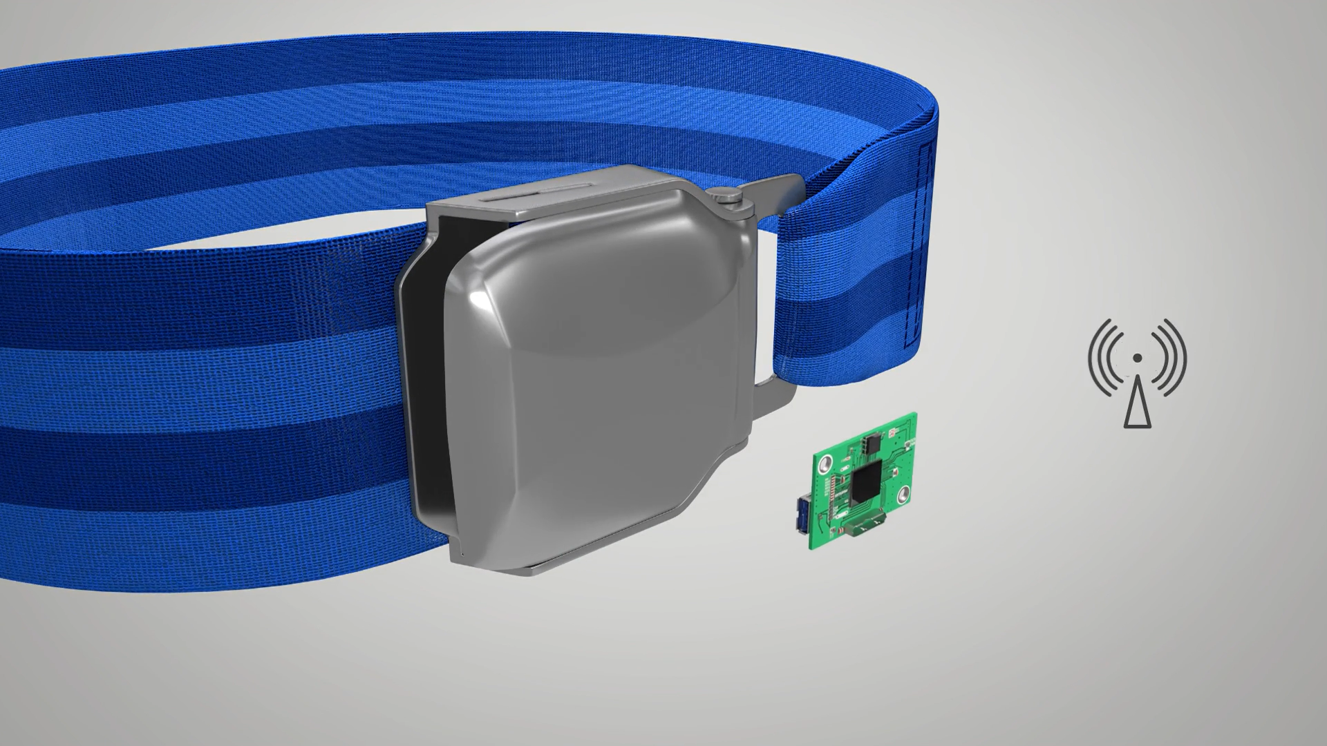 Seat Belts
